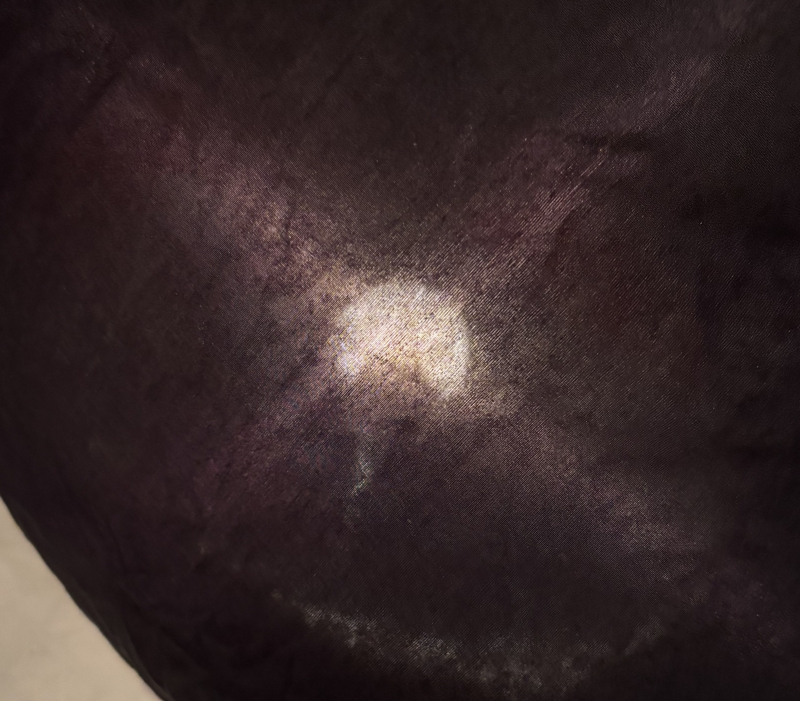 Gemmy Airblown Collectors Club